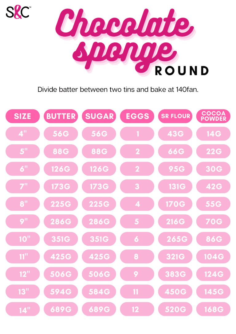 Easy Chocolate Sponge